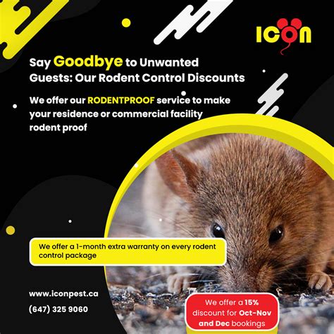 Cockroach Pest Control Expert Services And Tips Pest And Wildlife Removal Toronto Icon Pest