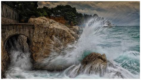 darko.rom - Photographer - YouPic