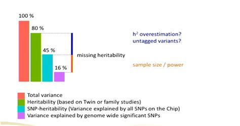 Information Processing Missing Heritability And Gcta Update On Pnas