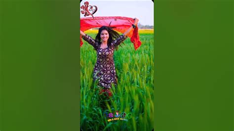 আমি প্রমাণ করে দিবো তুমি বিশ্ব বেইমানি Shortvideo Viral Shorts
