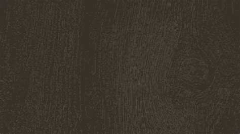 Video Mie Malekpour Posted On Linkedin