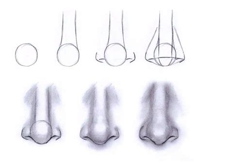 Nose Drawing Tutorial
