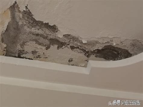 进入雨季，恒兴小区顶楼居民又要遭殃了，家家房顶漏水该咋办 ？ 搜狐大视野 搜狐新闻