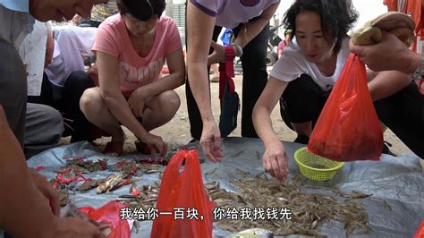 小池卖鱼虾涌来一群大叔大妈，场面混乱，又赚到了400块 Youtube
