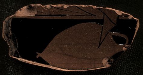 Introducing Rti Photography To The Collections Special Collections Blog