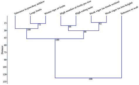 Hierarchical Clustering Algorithm With Paired Groups Upgma—euclidean