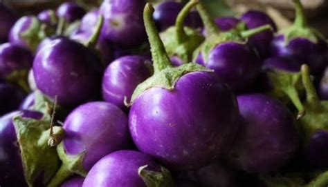 同是茄子， 长茄”、 矮茄”、 圆茄”啥区别？原来口感差很多 知乎