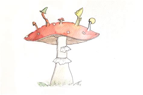 From Mycophobia To Mycophilia The Mcgill Daily