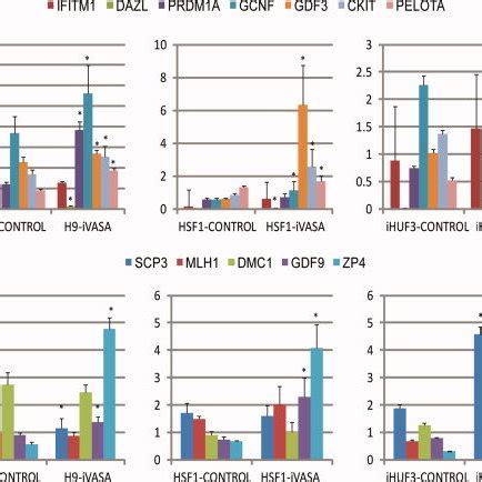 Fluorescence Activated Cell Sorting FACS Of VASA GFP Positive And Download Scientific Diagram