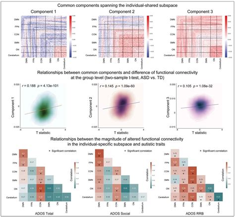 Researchers Identify Altered Functional Brain Connectivity In Autism