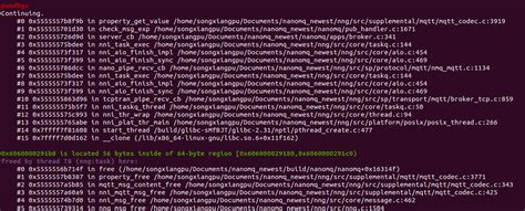 Security Wrong Protocol Name Data Racing Issue 1165 Nanomq