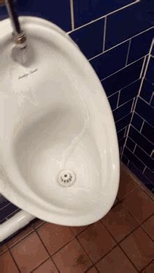 Urinal S Tenor