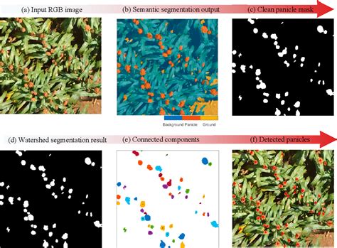 Figure 1 From A Deep Learning Semantic Segmentation Based Approach For