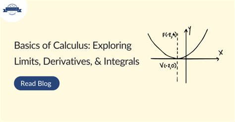 Basics Of Calculus Limits Derivatives And Integrals