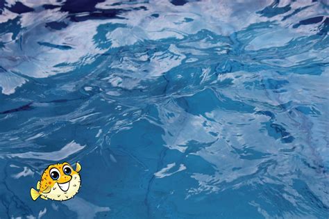 Pool Cleaning Hot Tub Maintenance Puddle Pool Services