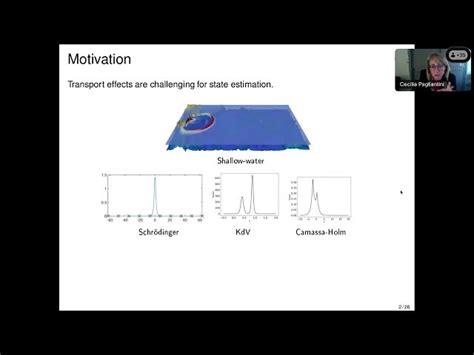 Free Video Dynamical Approximation And Sensor Placement For The State Estimation Of Transport