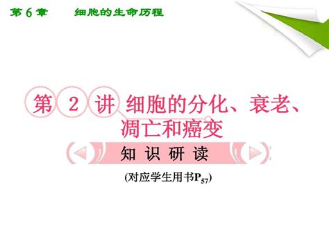 2012高考生物总复习课件：62《细胞的分化、衰老、凋亡和癌变》知识研习新人教版必修1共22张pptword文档在线阅读与下载无忧文档