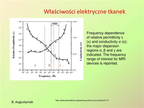 Ppt Magnetyzm W Medycynie Powerpoint Presentation Free Download Id