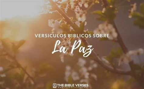 35 Versículos De La Biblia Sobre La Paz Radio De BendiciÓn
