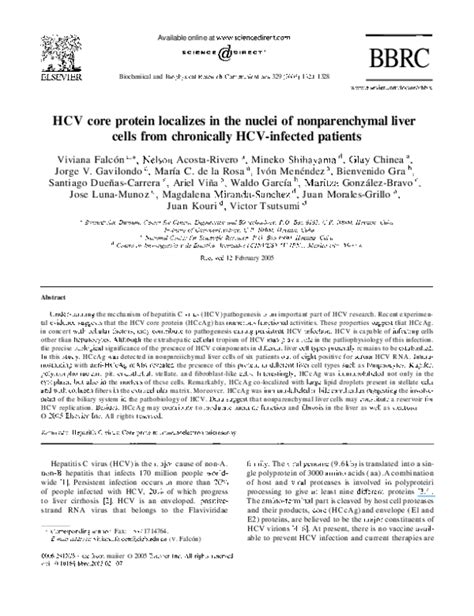 pdf hcv core protein localizes in the nuclei of nonparenchymal liver