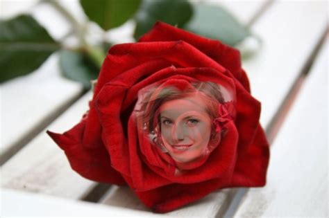 Coração ♥ Em Uma Rosa Vermelha Fotomontagem Pixiz