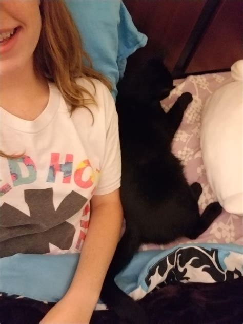 Pin On Cats