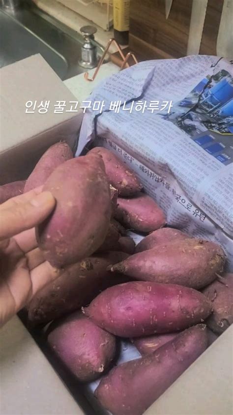 노엘라스타일 다이어트 양배추 요리를 라이스 쿠커로 해봤어요 양배추 넣고 베이컨 넣고 치킨파우더 좀 뿌리고 무수분 요리로 해
