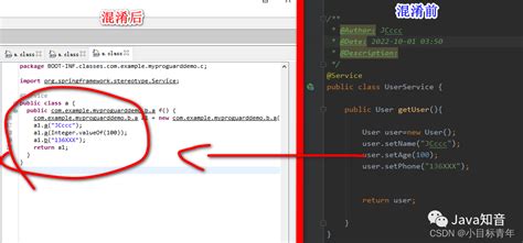 SpringBoot 玩一玩代码混淆防止反编译代码泄露 linpxing 博客 中药材 一念般若生