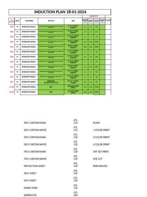 Induction Plan 1st 04 09 2024 Pdf