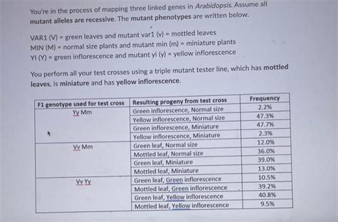 solved you re in the process of mapping three linked genes