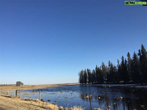 Hannah Anderson Gethu Cinema