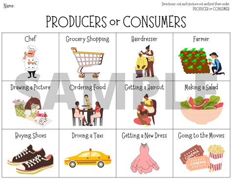 Producers And Consumers 2nd Grade