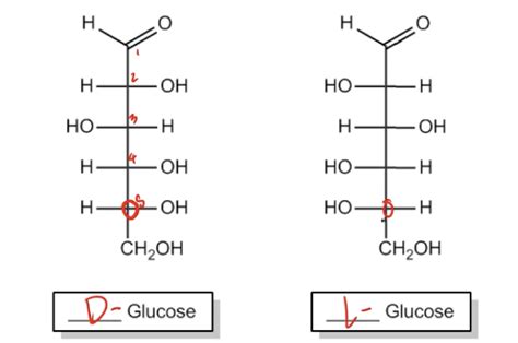 Ketohexose Example