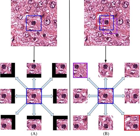 A Representation Of Conventional Context Non‐preserving Data Download Scientific Diagram