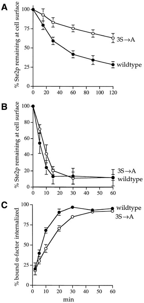 Mutation Of The Sinndakss Serines Diminishes Both Constitutive And Download Scientific Diagram