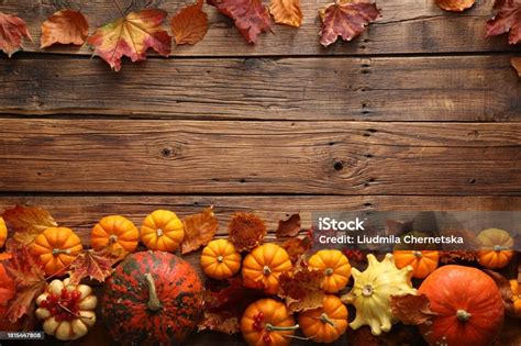 나무 테이블에 마른 단풍과 호박을 평평하게 놓습니다 텍스트를 위한 공간 0명에 대한 스톡 사진 및 기타 이미지 0명 10월 11월 Istock