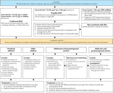 Iron Deficiency Anemia System Disorder Template