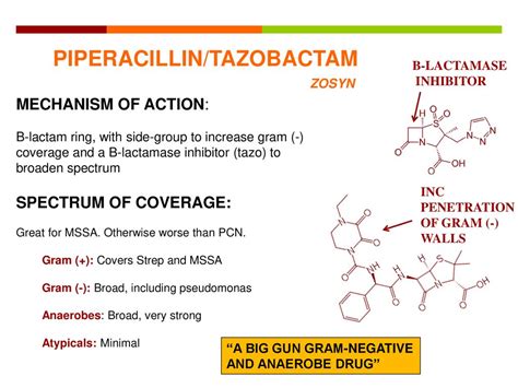 Antibiotics Review For Students Interns And Residents Ppt Download