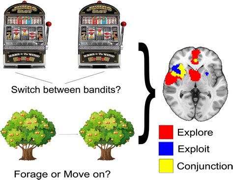 Meta‐analysis Reveals That Explore Exploit Decisions Are Dissociable By