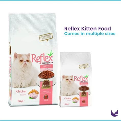 Reflex Kitten Food Chicken Flavor Chubby Meows