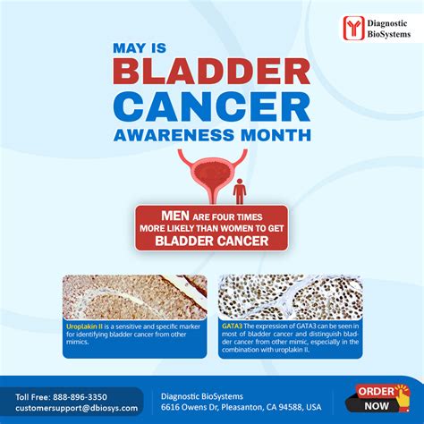 Bladder Cancer Awareness Month Diagnostic Biosystems Advanced Tissue Diagnostics And Trusted