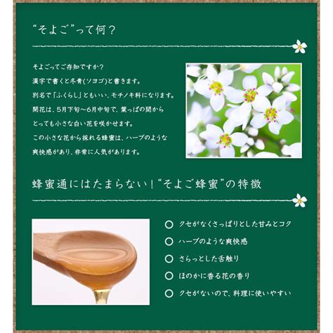 かの蜂 はちみつ 国産 蜂蜜 ハチミツ 百花 そよご みかん 3本セット 500g×各1本 合計15kg とんがり プラ 容器 非加熱