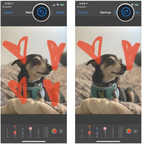 How To Use The Markup Editor In The Photos App On IPhone And IPad IMore