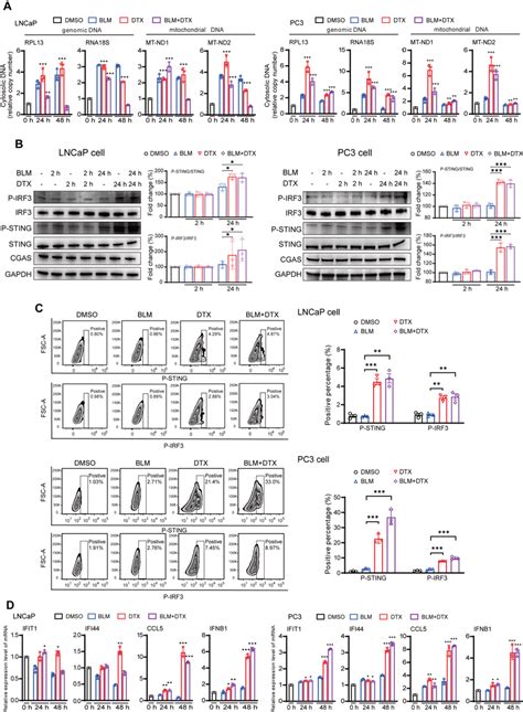 Combination Of Docetaxel And Androgen Deprived Treatment Activates The