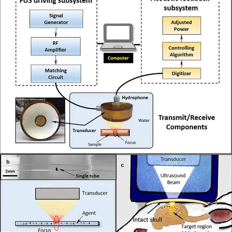 Nanobubble Structure And Characterization A A Schematic Diagram Of Download Scientific