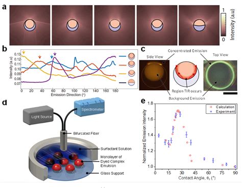 Figure 1 From Rapid Detection Of Salmonella Enterica Via Directional Emission From Carbohydrate