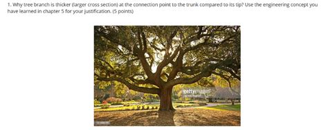 Solved Why Tree Branch Is Thicker Larger Cross Section Chegg Com