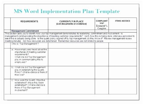Software Implementation Plan Template Excel Awesome Software