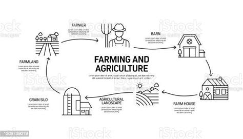 농업 및 농업 관련 프로세스 인포그래픽 템플릿 프로세스 타임라인 차트 아이콘이 있는 워크플로 레이아웃 가금류에 대한 스톡 벡터