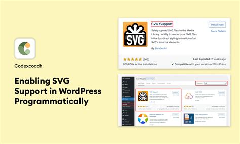 Activate SVG Support On WordPress The Programmatic And Plugin